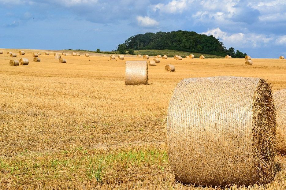 Ancora infortuni con le cadute delle rotoballe di fieno