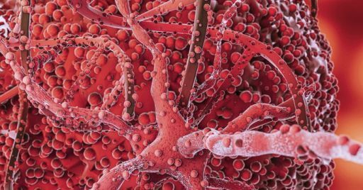 Come è strutturato il sistema di registrazione...